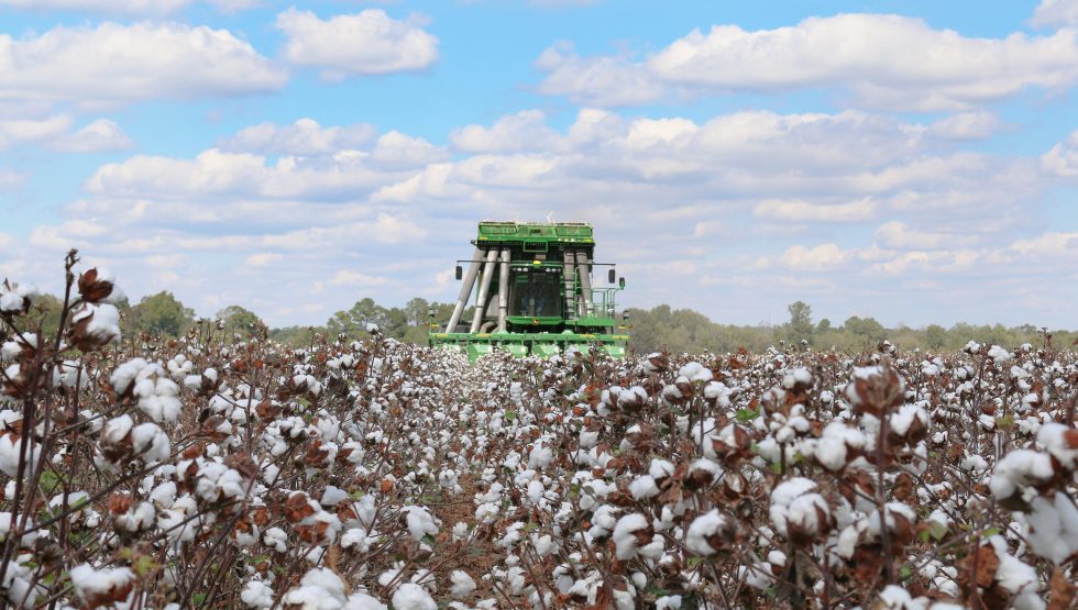 Discover Alabama Extension - Discover ACES