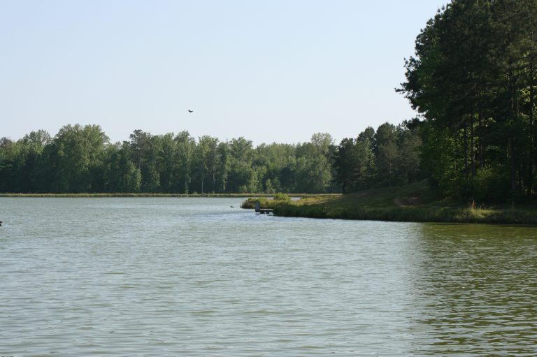 Adding Agricultural Lime to Recreational Fishing Ponds - Alabama ...