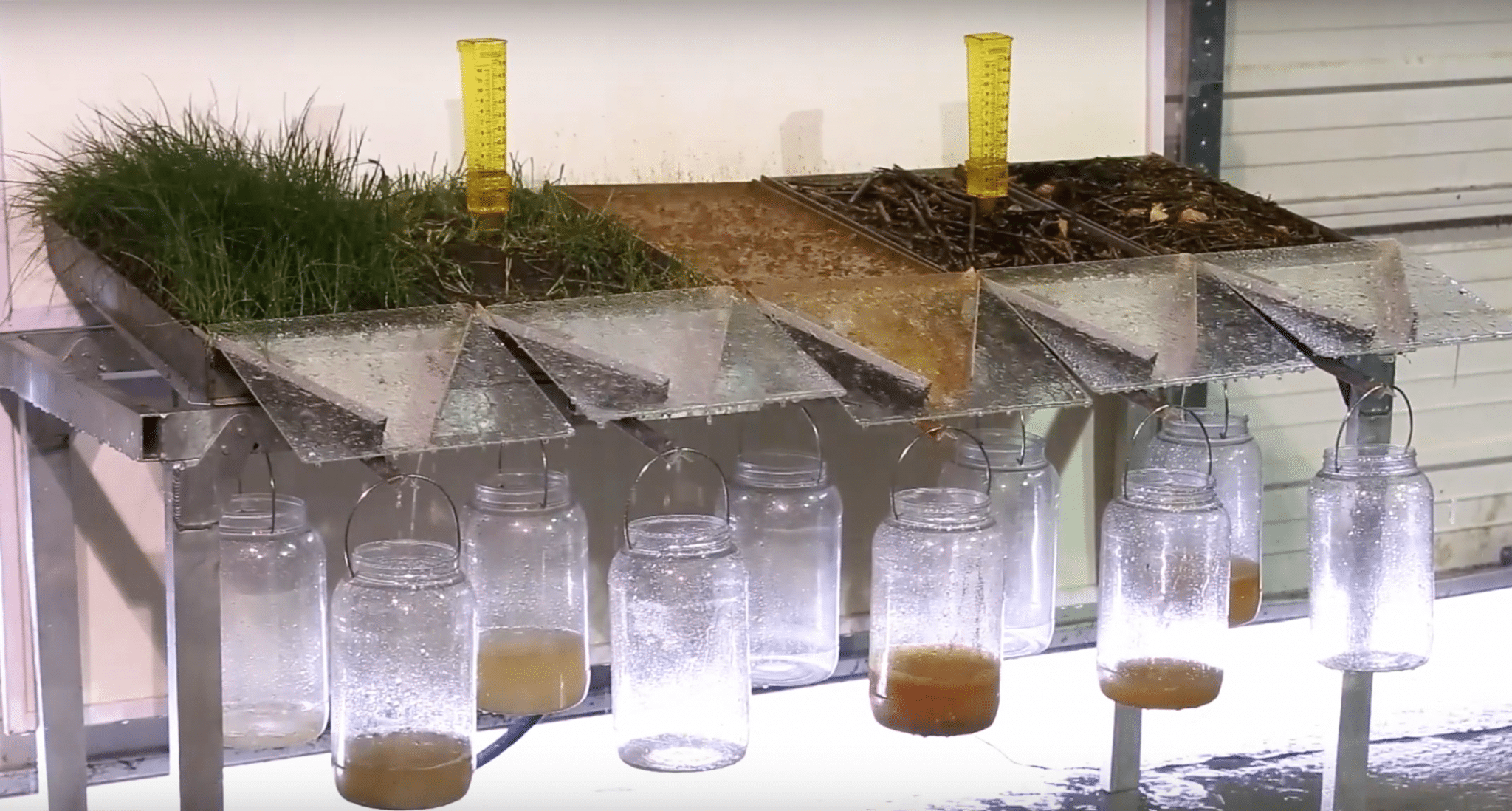 Benefits of Forage Ground Cover: Infiltration and Runoff Reduction ...