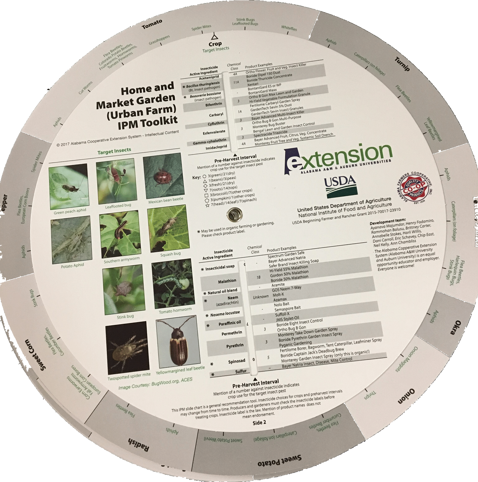 Spider Mite Scouting and Management in Vegetable Crops - Alabama ...