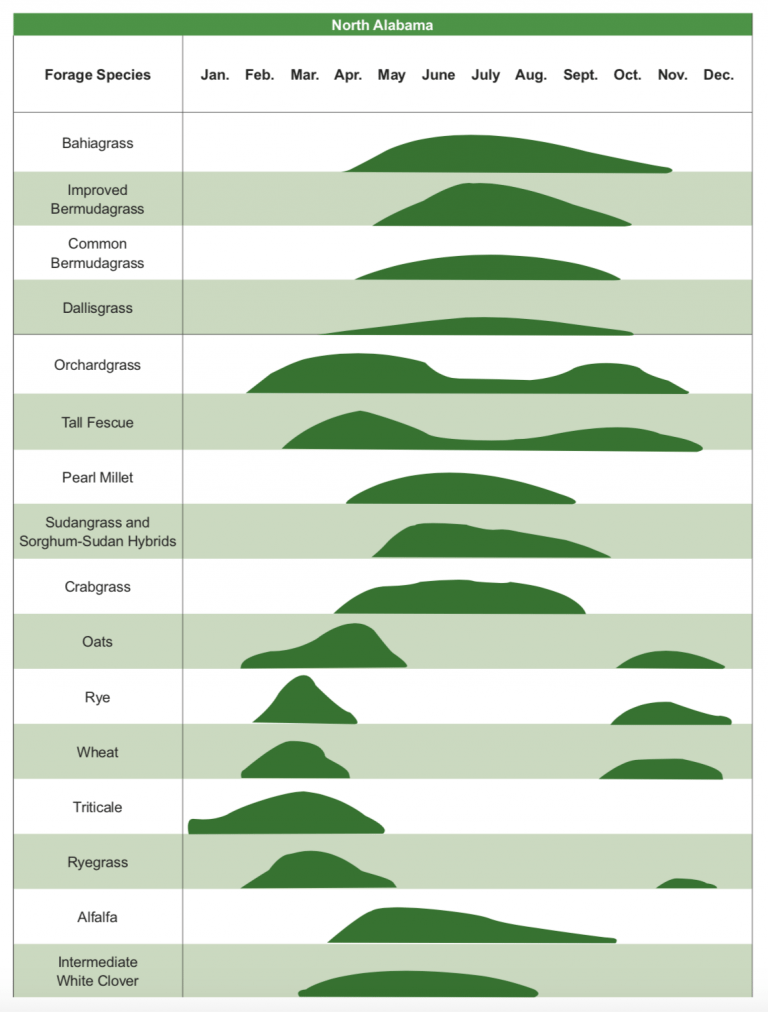 Forage Systems for Cow-Calf Operations in North Alabama - Alabama ...