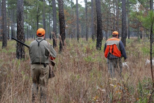 Controlling Predators to Increase Quail Populations - Alabama ...
