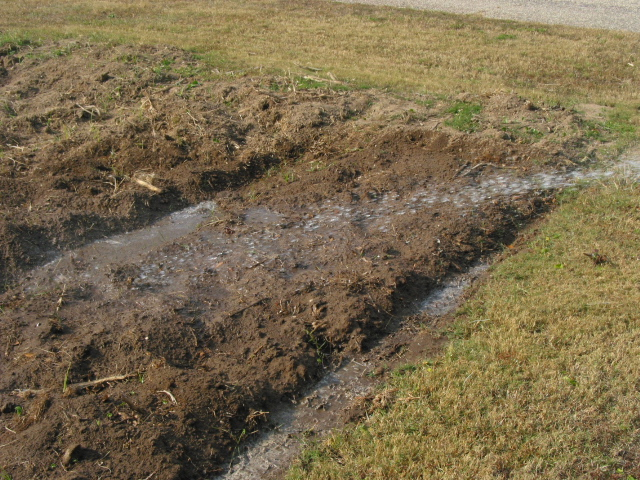 Soil Solarization for Control of Nematodes & Soilborne Diseases ...