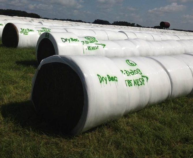 Producing & Feeding Baleage in Alabama - Alabama Cooperative Extension ...