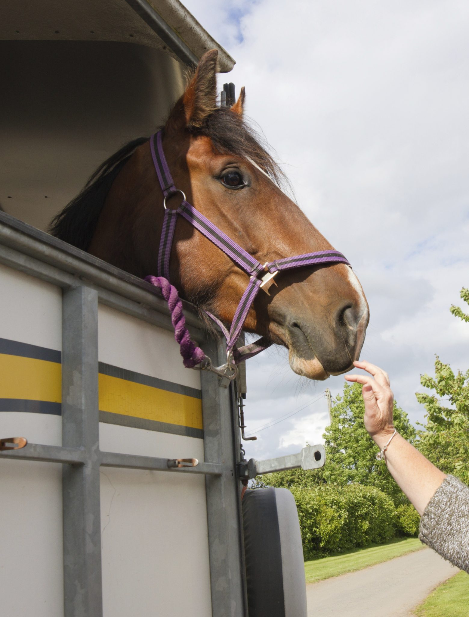 Preparing to Evacuate a Farm - Alabama Cooperative Extension System