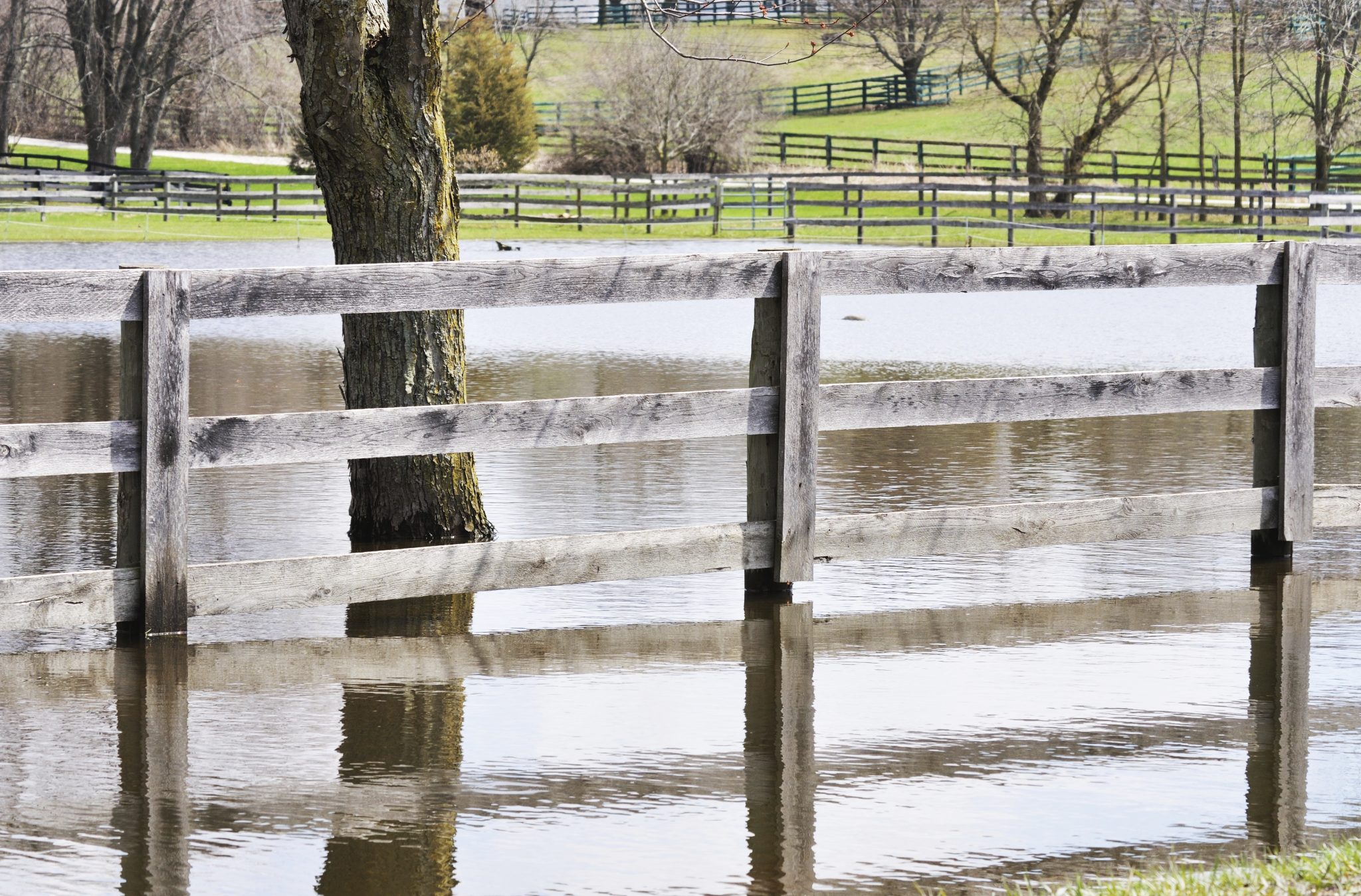 Flooded Gardens and Fields - Alabama Cooperative Extension System