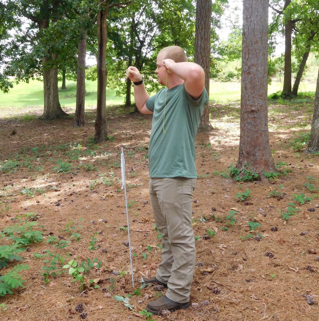Benefits & Drawbacks to Variable-Radius Plots - Alabama Cooperative ...