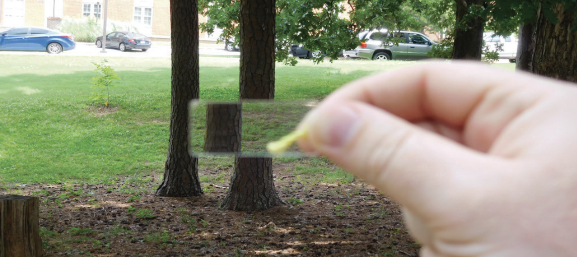 Benefits & Drawbacks to Variable-Radius Plots - Alabama Cooperative ...