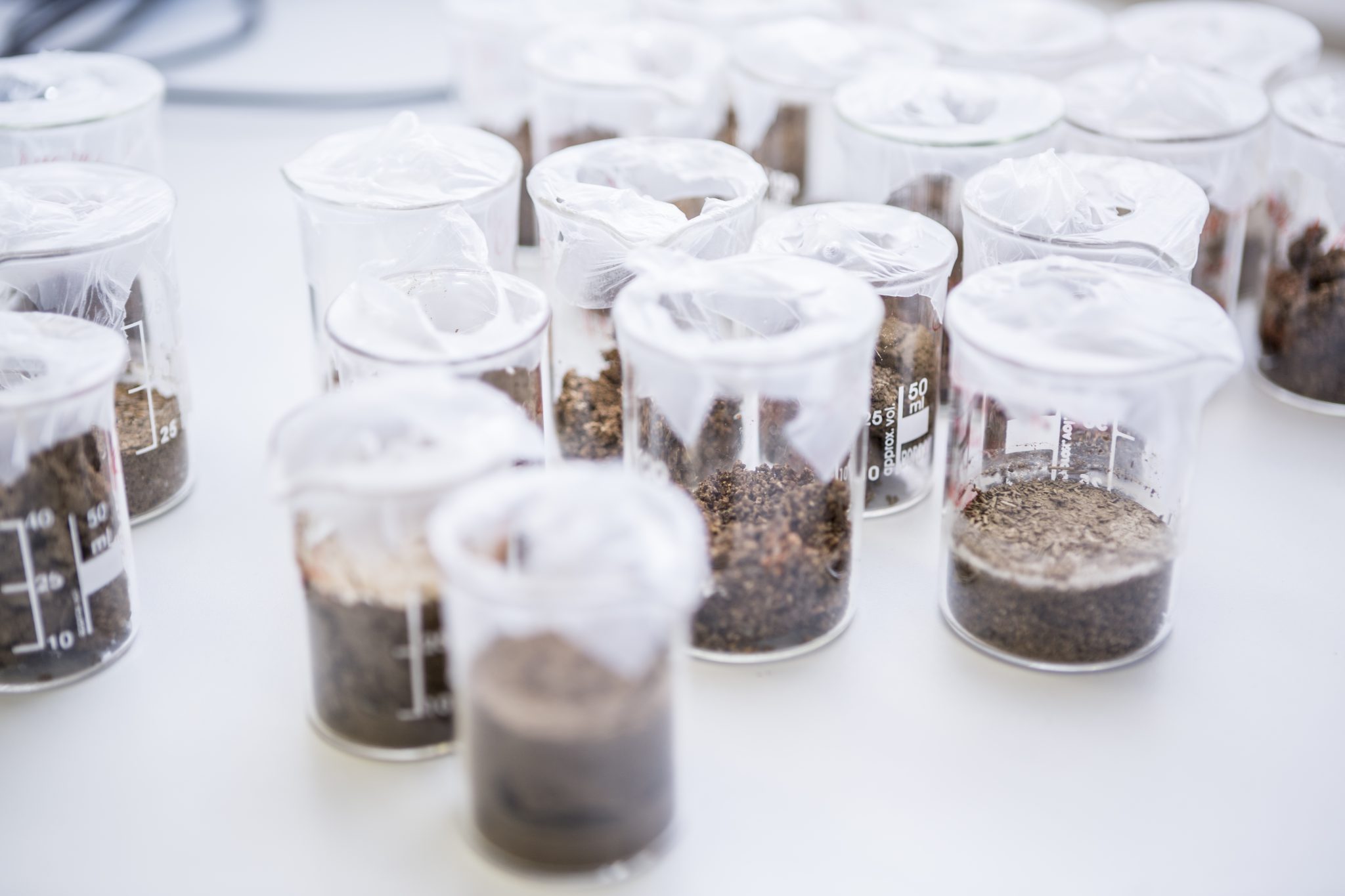 Choosing Effective Liming Materials - Alabama Cooperative Extension System