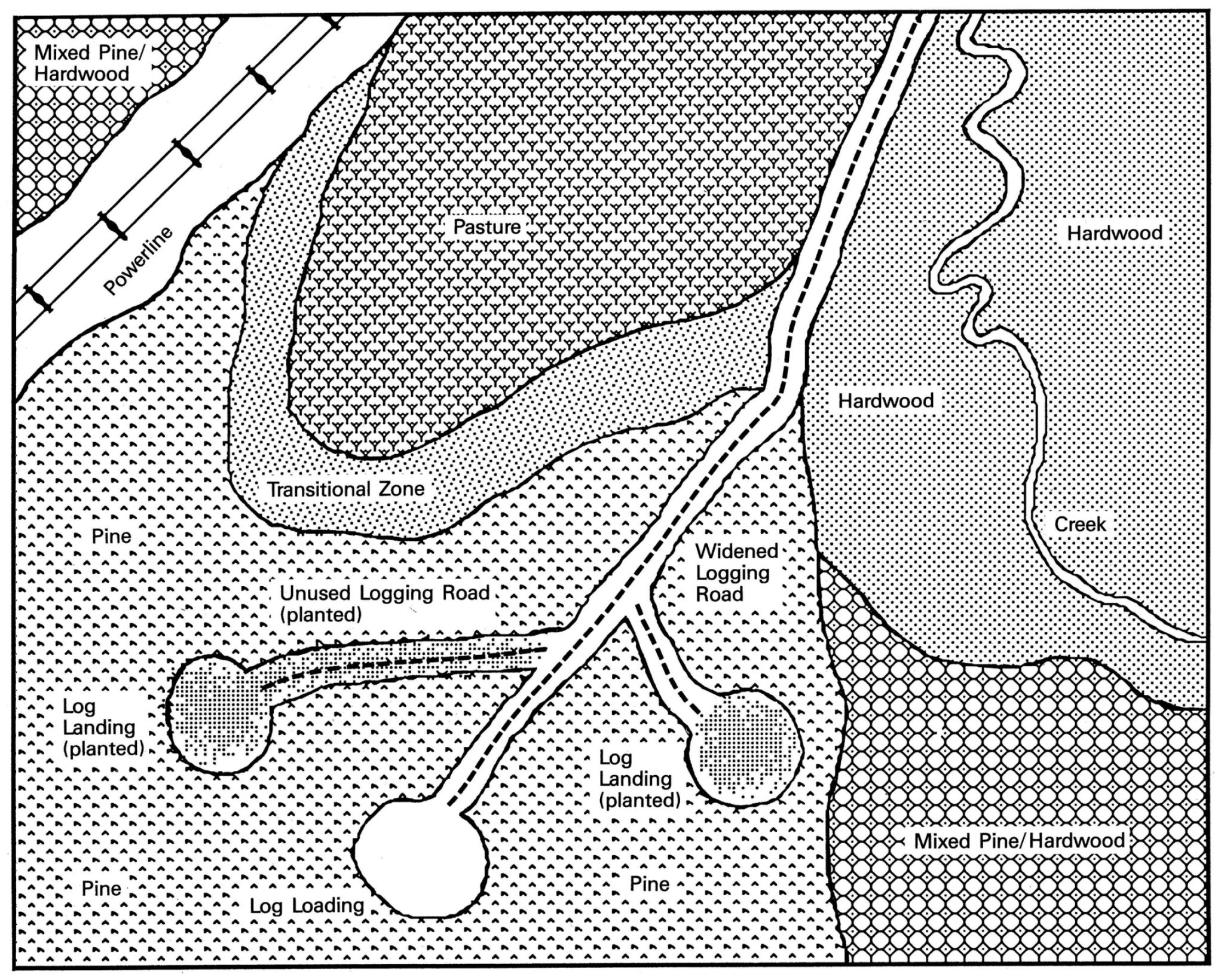Wild Turkey Management in Alabama - Alabama Cooperative Extension System