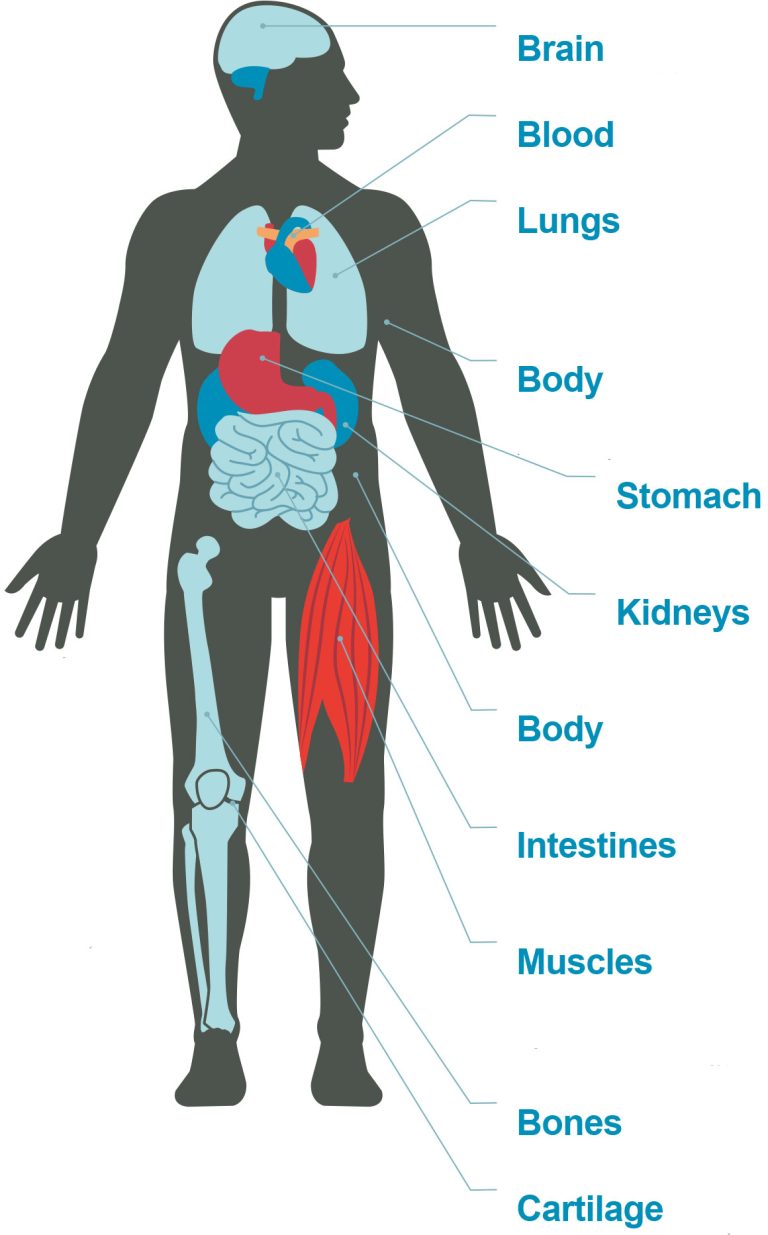 Eat to Compete: Sports Nutrition for Young Adults—Hydration - Alabama ...
