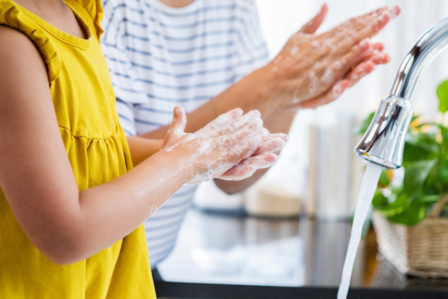 There's No Place Like Home for Food Safety - Alabama Cooperative ...