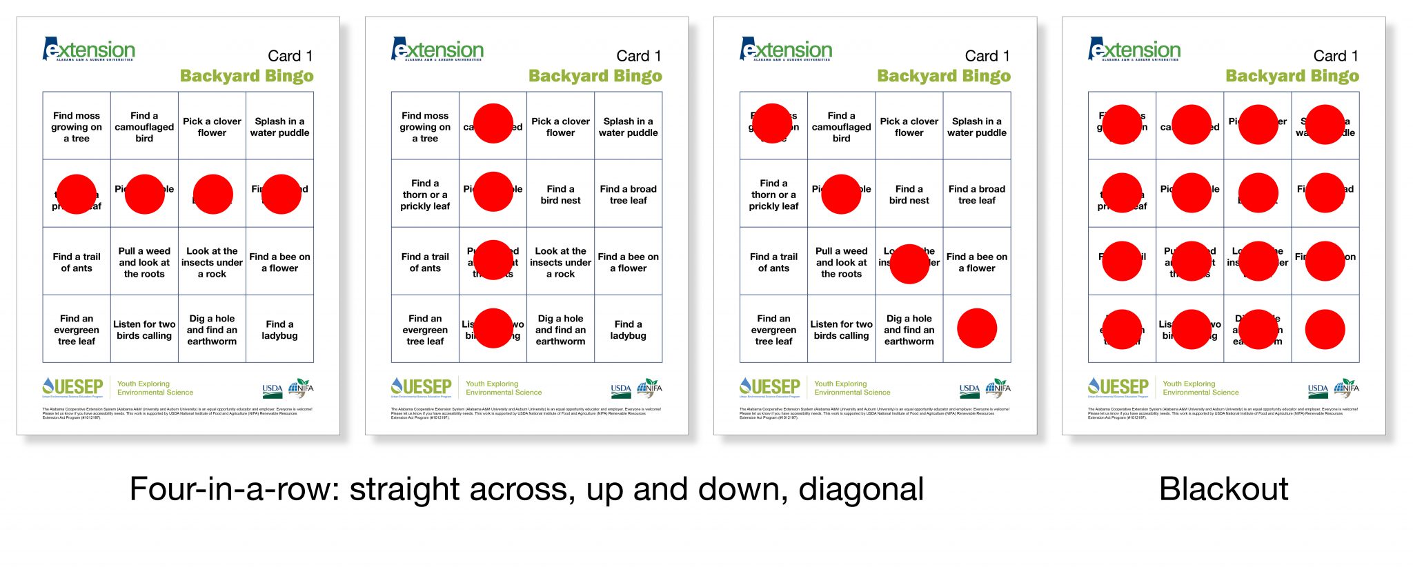 Backyard Bingo - UESUP Youth Exploring Environmental Science
