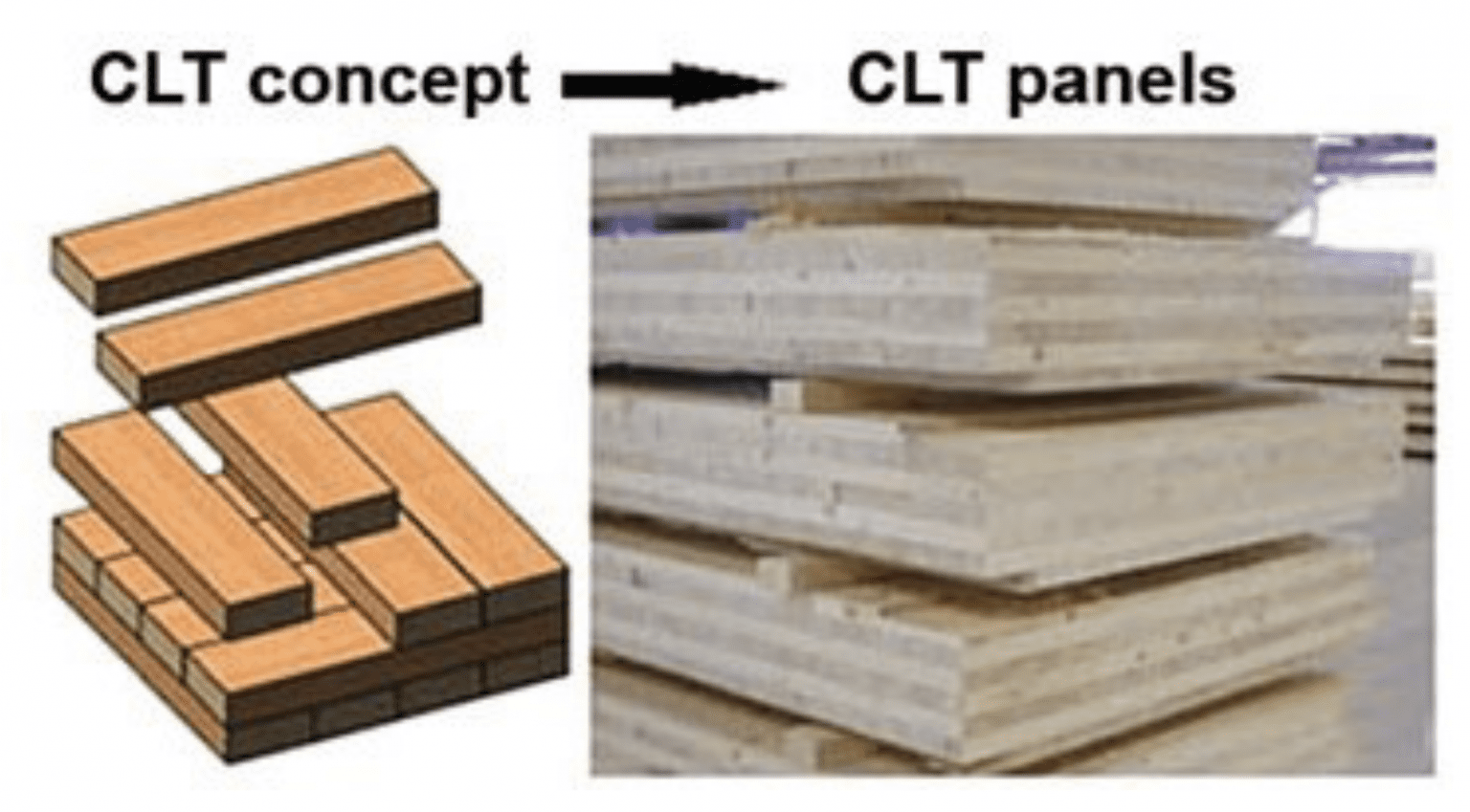 Cross-Laminated Timber Production in Alabama - Alabama Cooperative ...