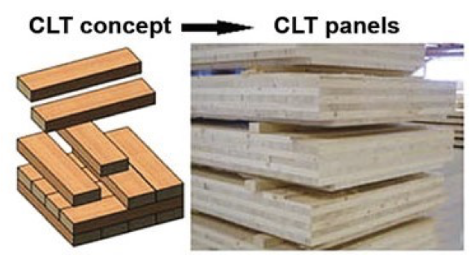 Cross-Laminated Timber Production in Alabama - Alabama Cooperative ...