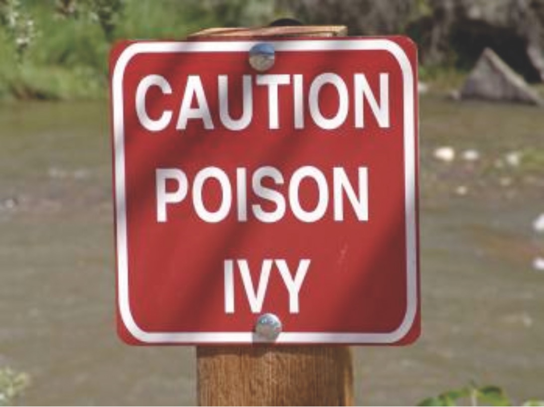 Touch-Me-Nots: Poison Ivy, Poison Oak, and Poison Sumac - Alabama ...