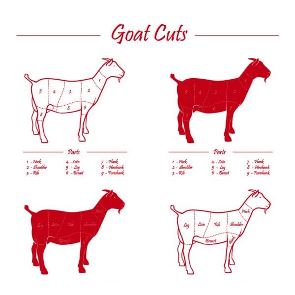 Goat The Other Meat Alabama Cooperative Extension System