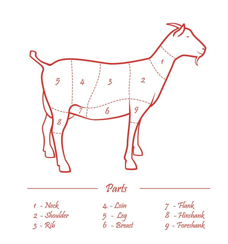 Goat: A Healthy Meat Option - Alabama Cooperative Extension System