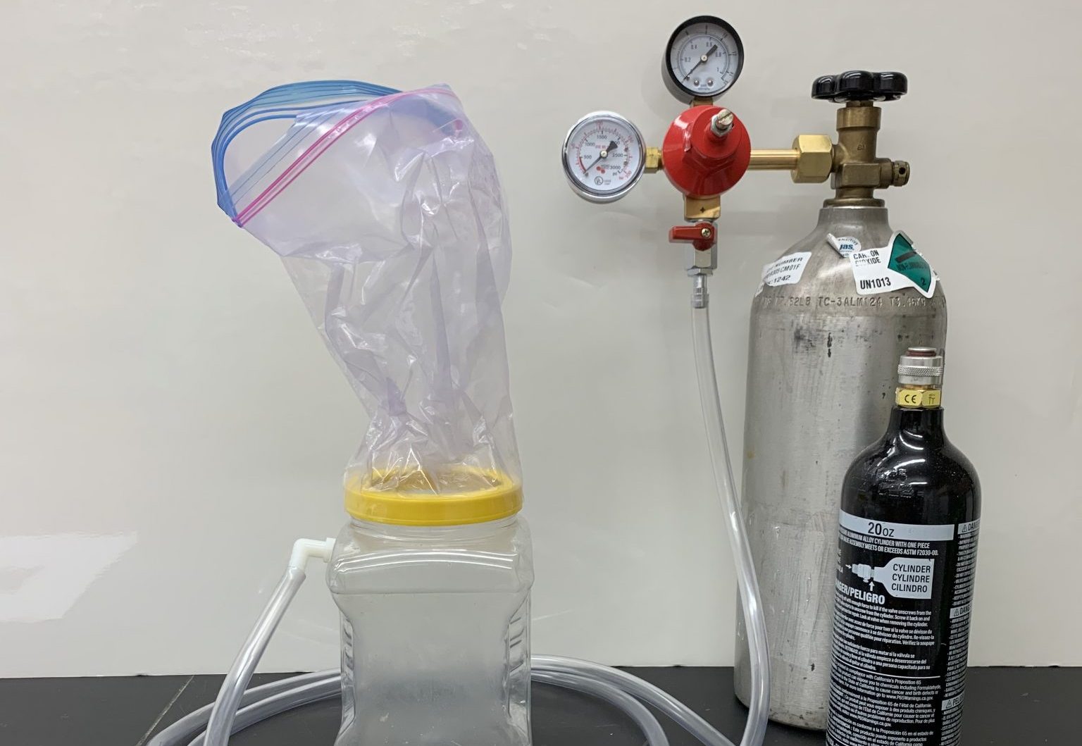 Poultry Euthanasia: Single Bird Carbon Dioxide System - Alabama ... Poultry Euthanasia: Single Bird Carbon Dioxide System - Alabama ...