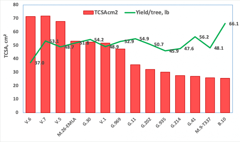 Update On Size Controlling Fire Blight Resistant Apple Rootstocks Trial