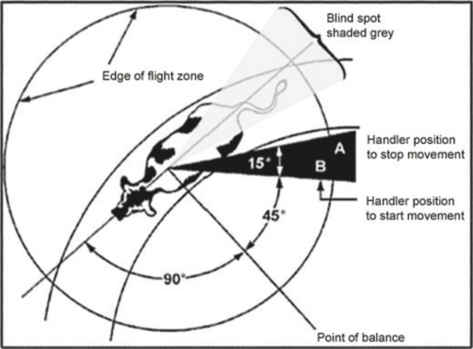 Alabama Beef Quality Assurance: Using Handling Facilities Correctly ...