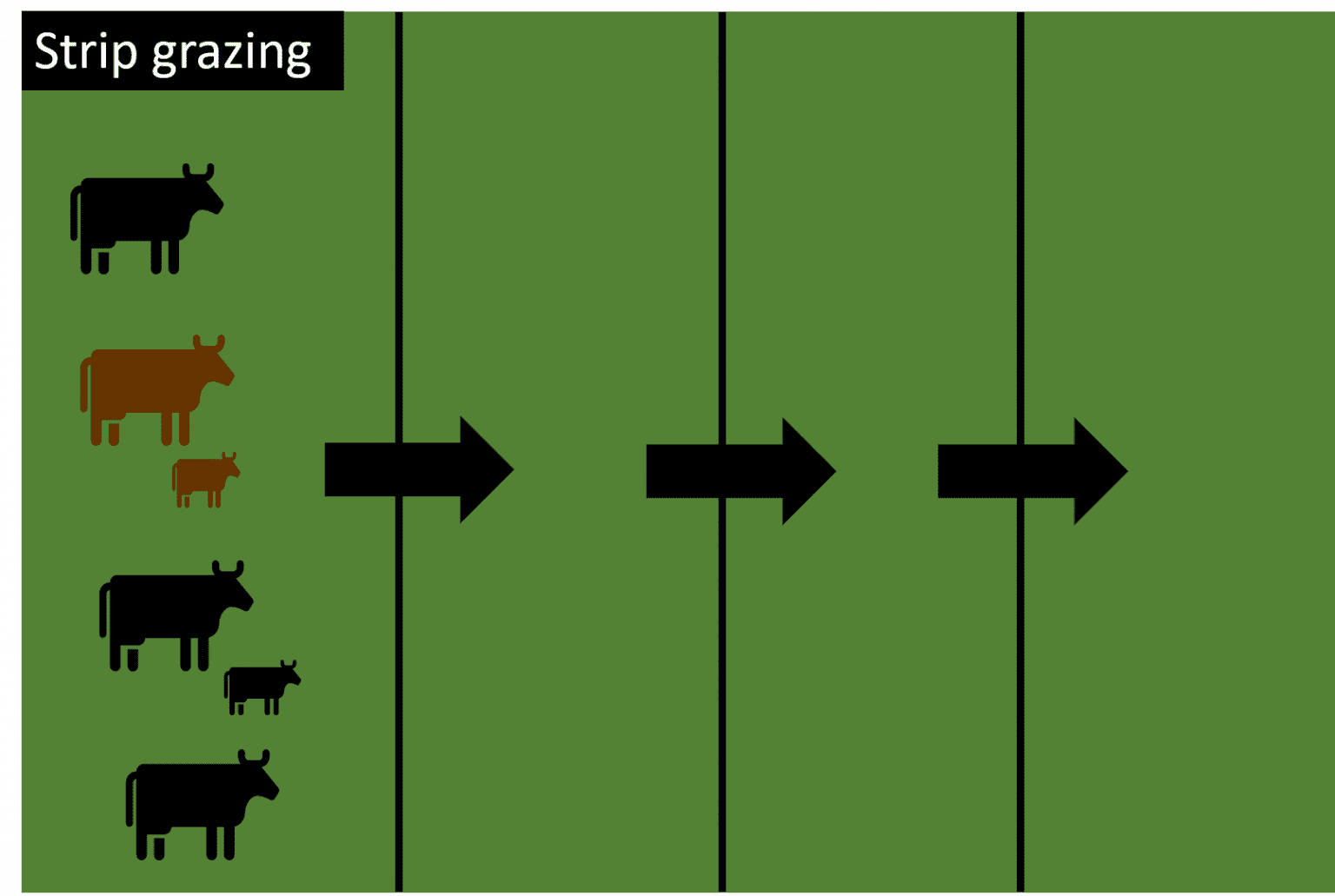 Grazing Management Concepts and Strategies - Alabama Cooperative ...
