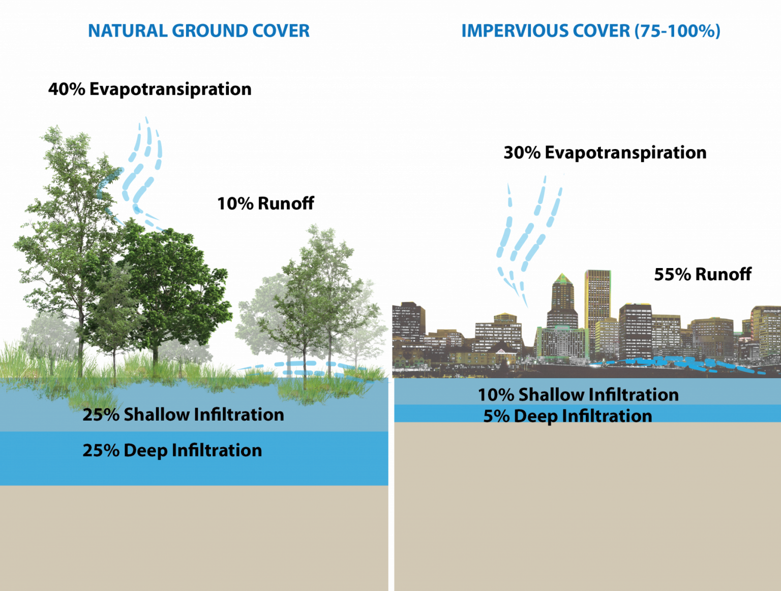 How to Install a Rain Garden - Alabama Cooperative Extension System