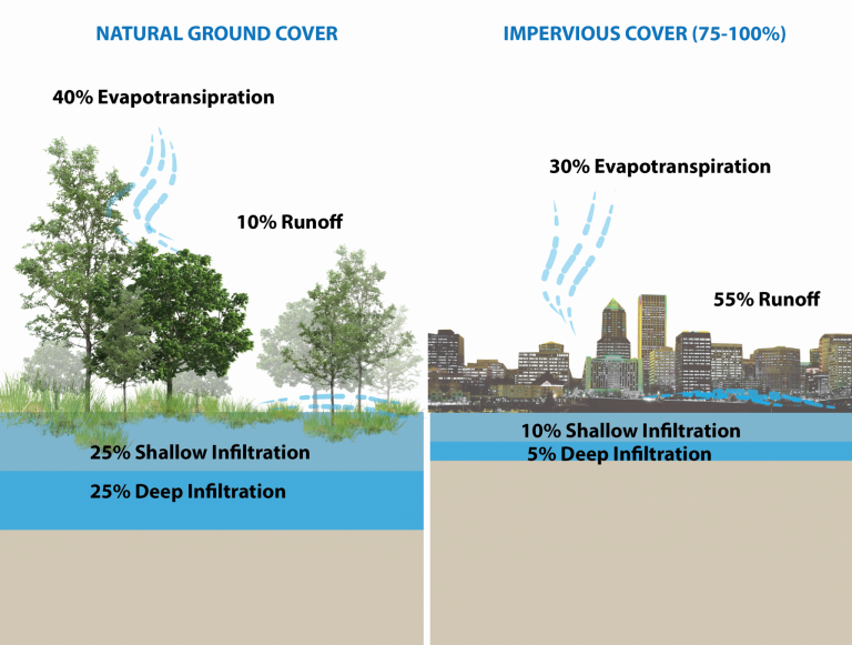 How to Install a Rain Garden - Alabama Cooperative Extension System
