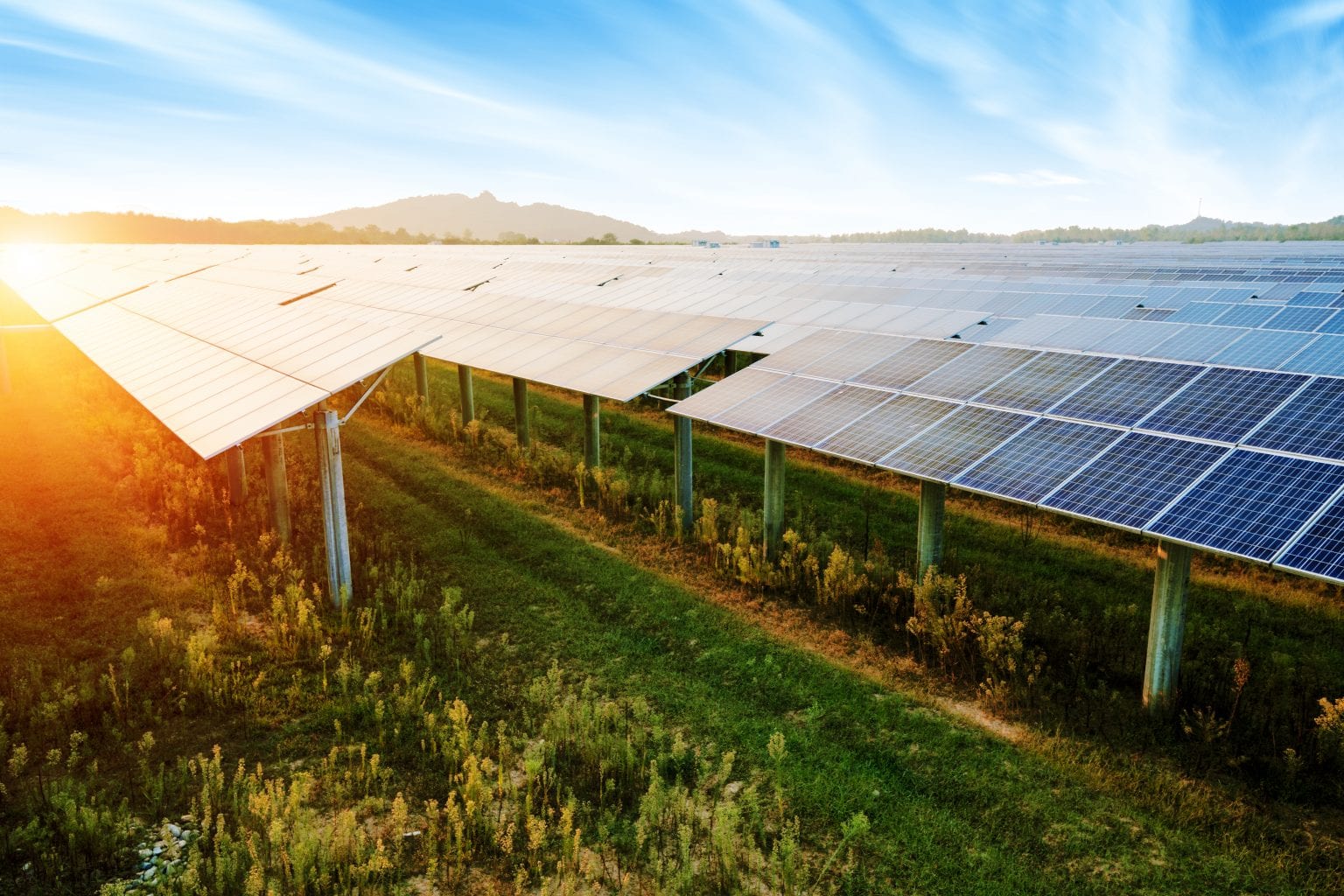 Going Solar on the Farm: Implementing Solar Power in Agriculture ...