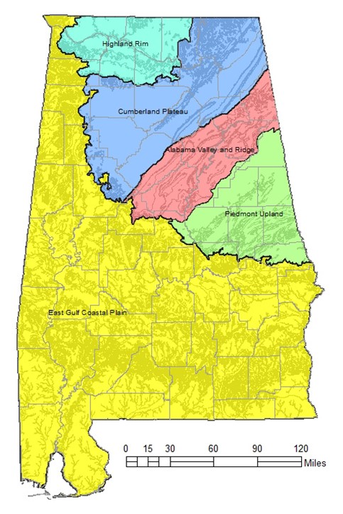 Hydrogeologic Provinces of Alabama - Alabama Cooperative Extension System