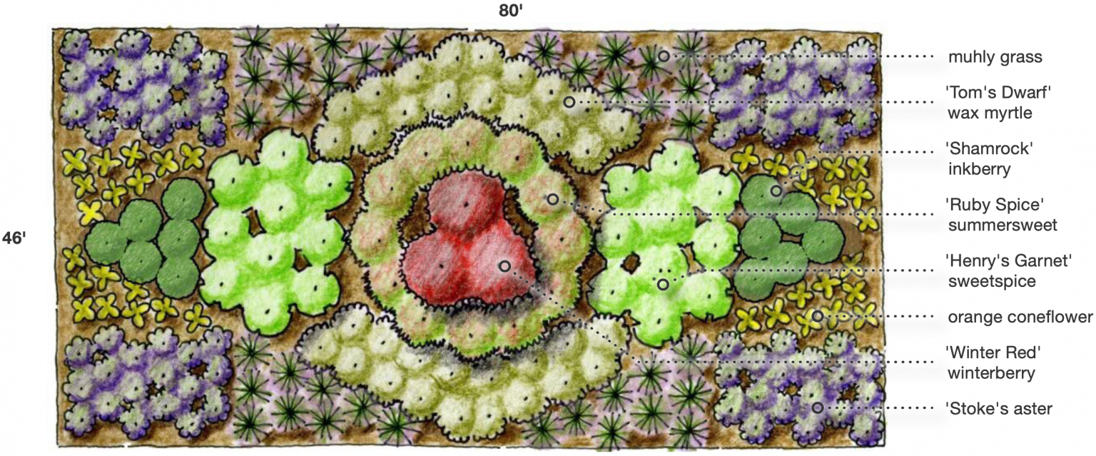 Step 6: Choose the Right Time, Right Plant, Right Place - Alabama ...