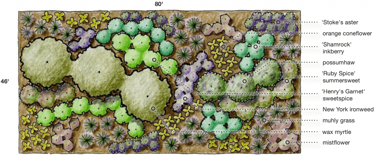 Step 6: Choose the Right Time, Right Plant, Right Place - Alabama ...