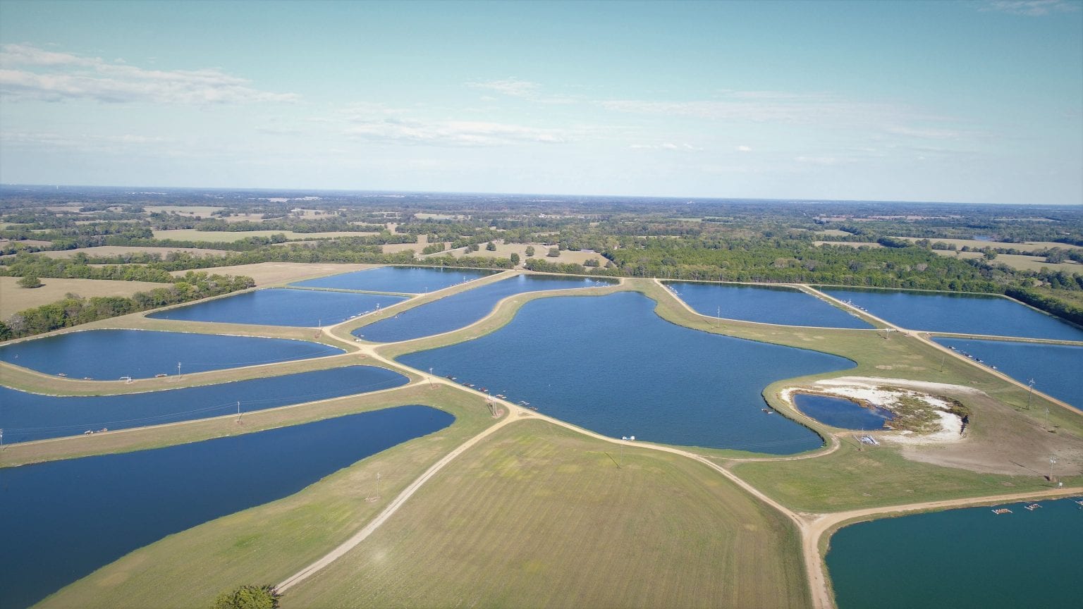 Catfish Farms In Alabama