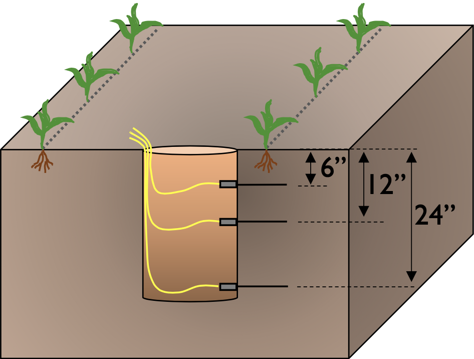 Installation of Soil Sensors for Irrigation Scheduling - Alabama ...