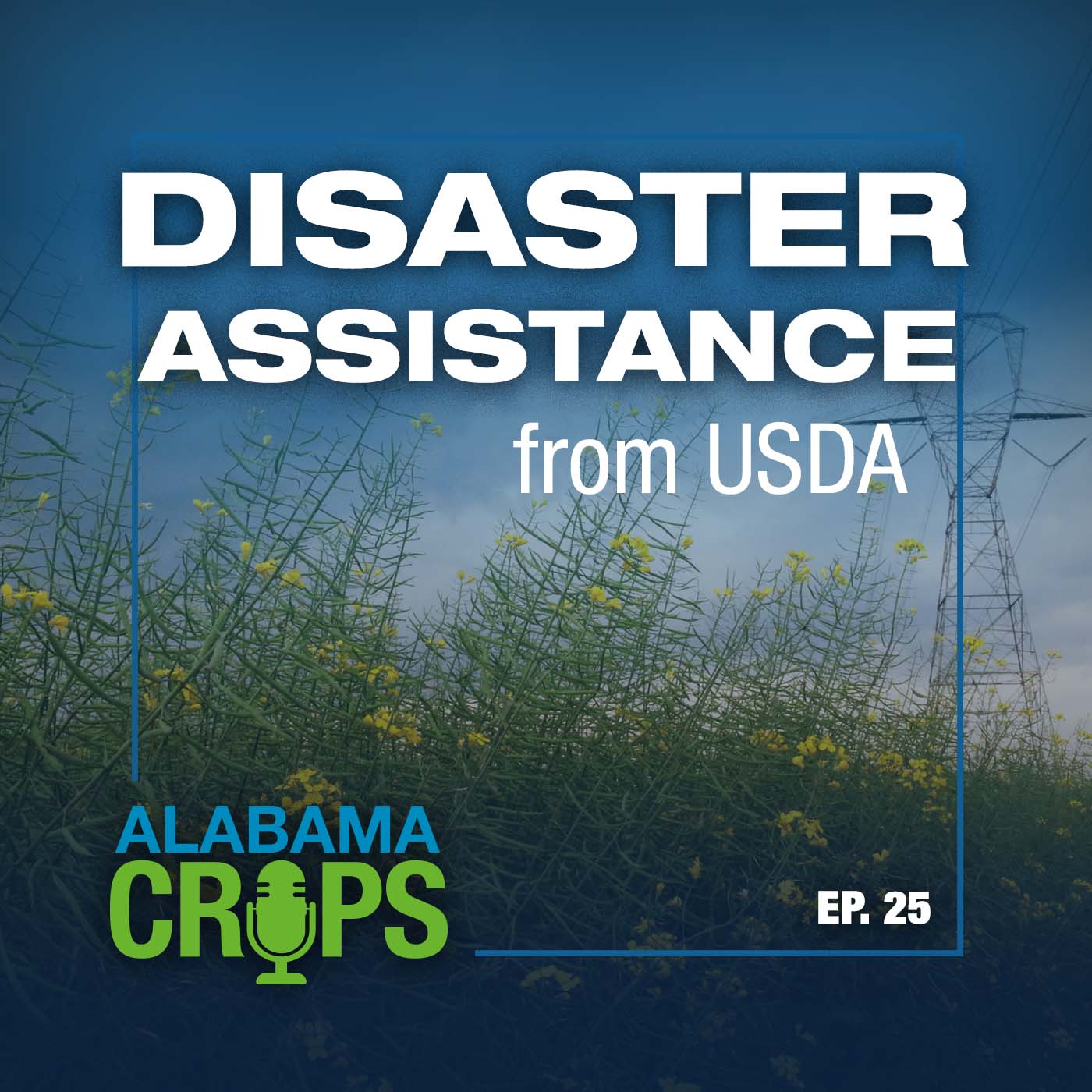 Episode 25 - Disaster Assistance from USDA - Alabama Cooperative ...