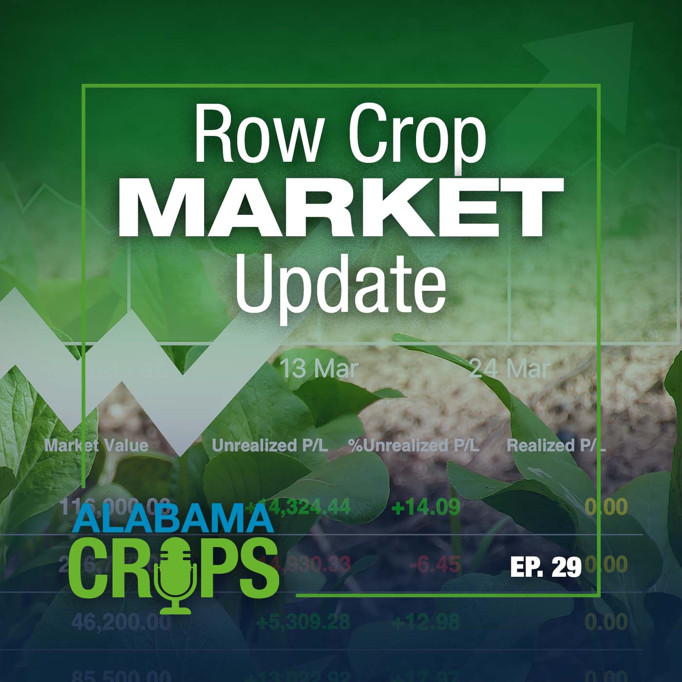 Episode 29 – Row Crop Market Update - Alabama Cooperative Extension System