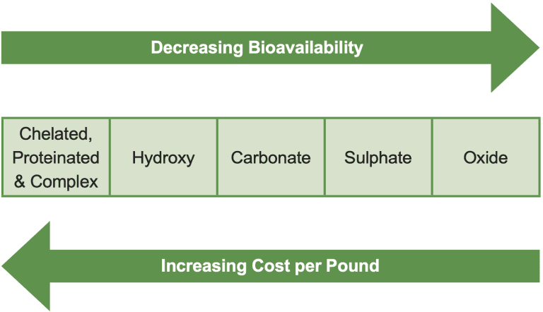 Bioavailability of Mineral Supplements in Beef Cattle Nutrition ...