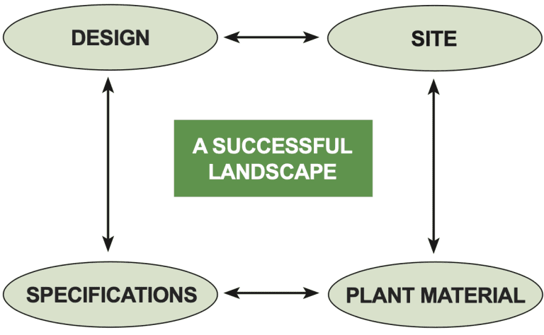 Street Trees: Site Selection, Planting, and Maintenance - Alabama ...