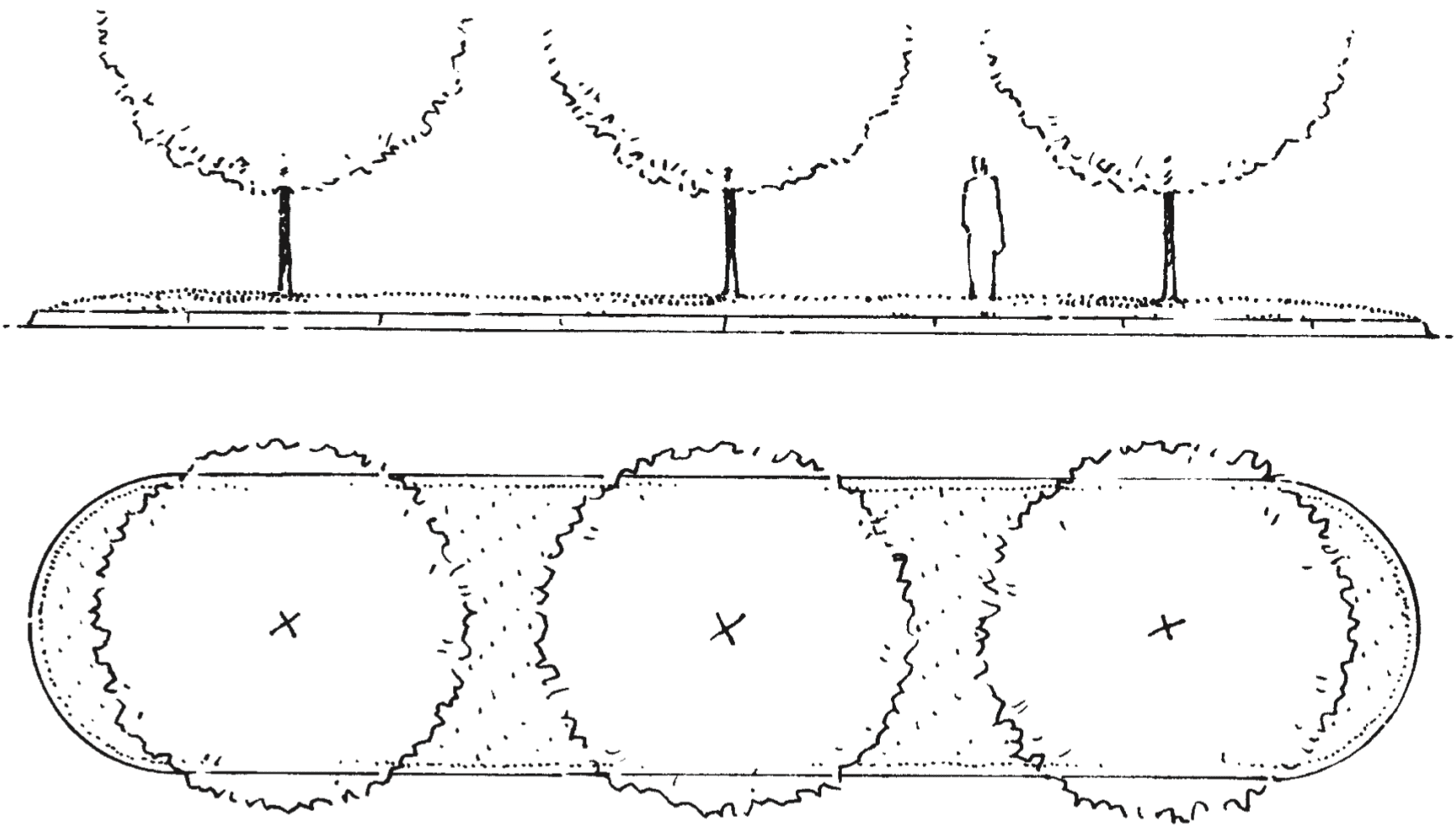 Street Trees: Site Selection, Planting, and Maintenance - Alabama ...