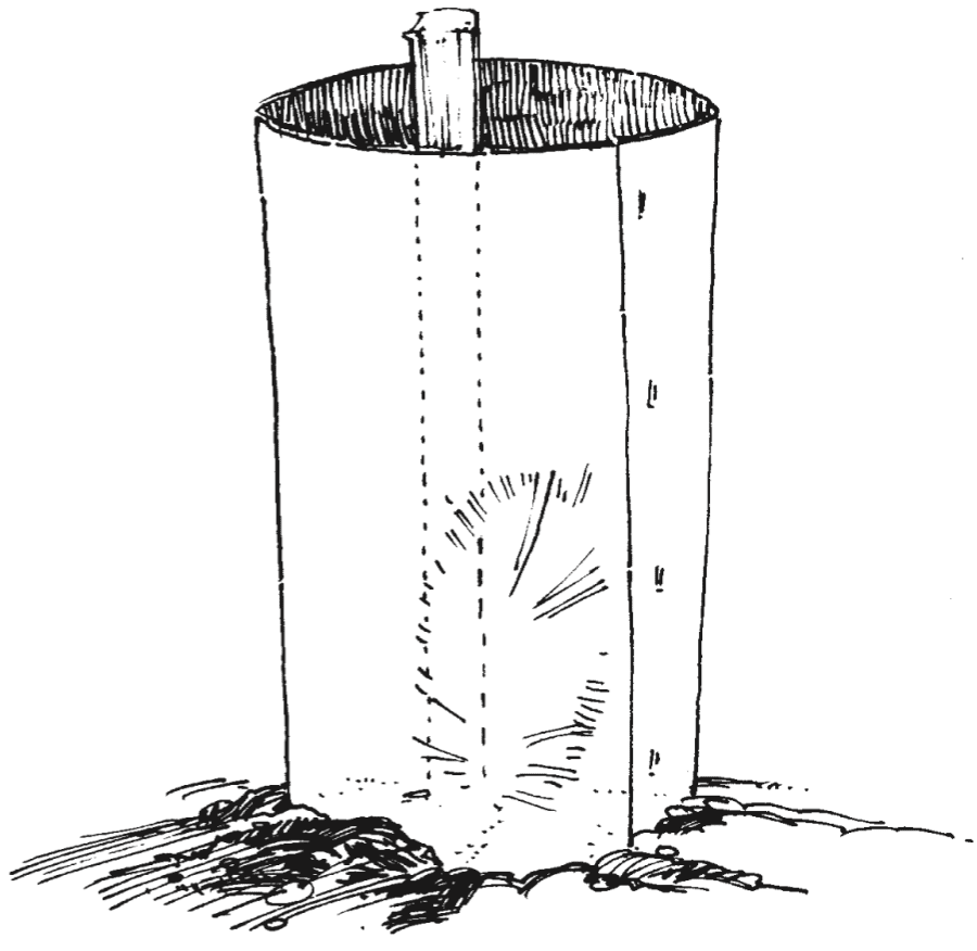 Street Trees: Site Selection, Planting, and Maintenance - Alabama ...