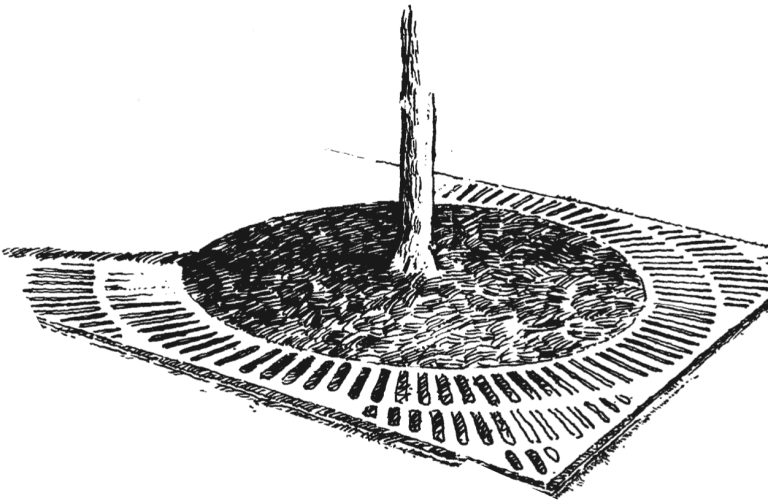 Street Trees: Site Selection, Planting, and Maintenance - Alabama ...