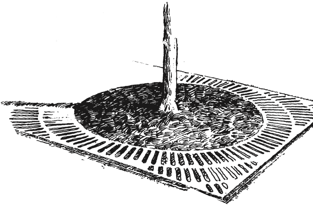 Street Trees: Site Selection, Planting, and Maintenance - Alabama ...