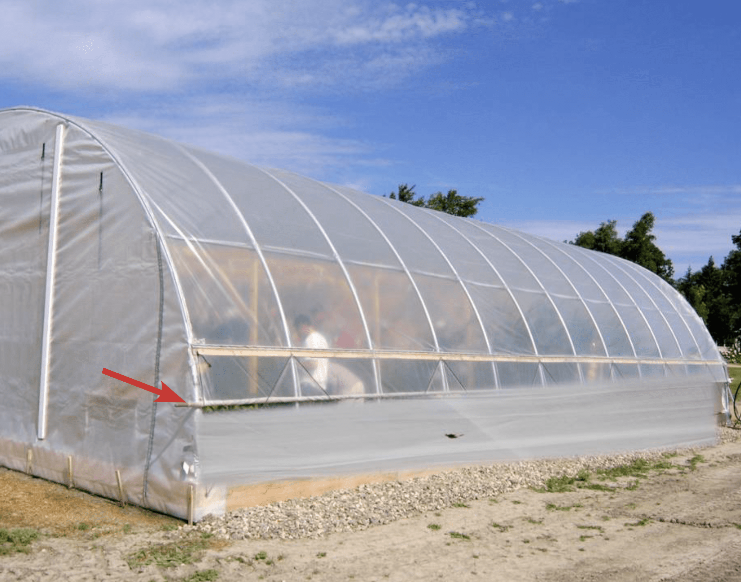 Pest Management in High Tunnel Crop Production - Alabama Cooperative ...