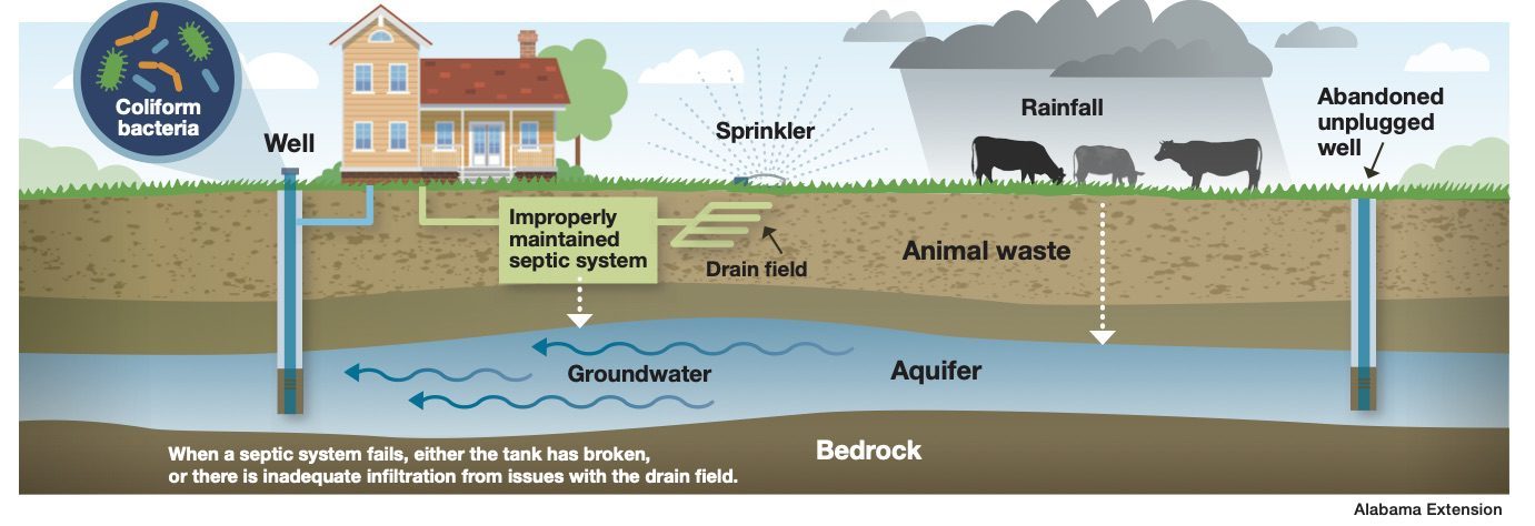 Coliform Bacteria in Well Water - Alabama Cooperative Extension System
