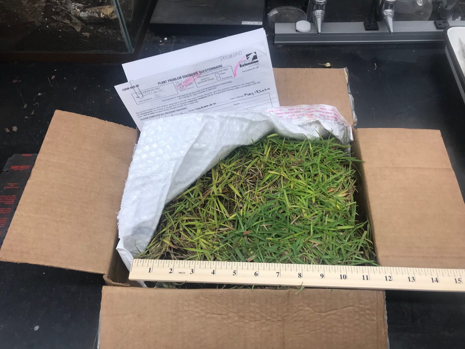 Plant Diagnostic Lab Services - Alabama Cooperative Extension System