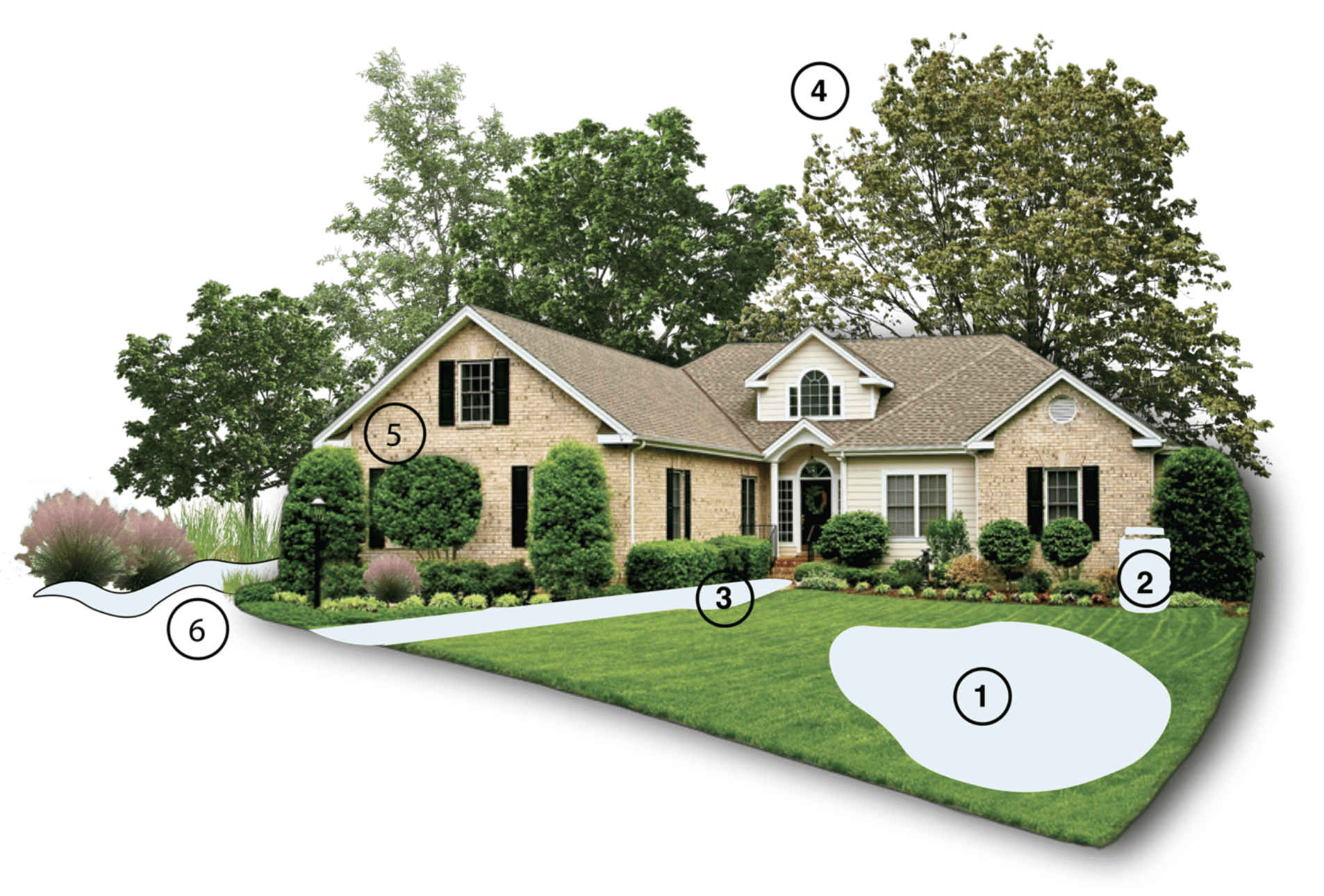 Rainscaping Your Yard to Protect Water Quality - Alabama Cooperative ...