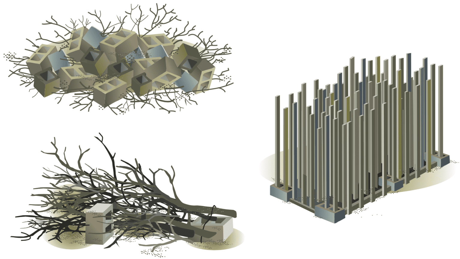 Essentials of Pond Management – Management of Recreational Fish Ponds ...