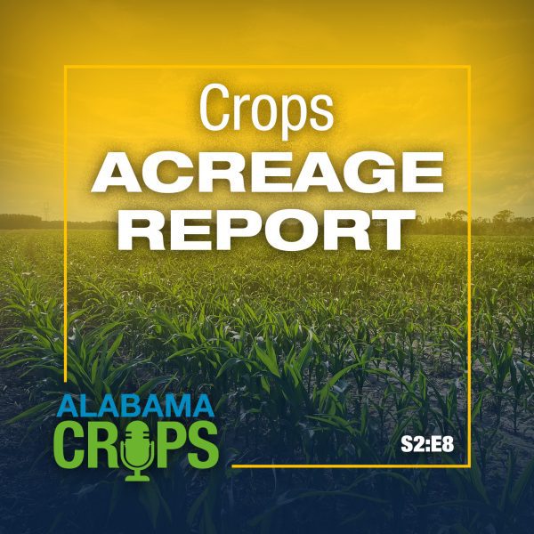 Alabama Crops Report Archives - Alabama Cooperative Extension System