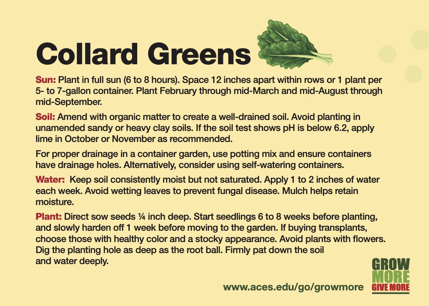 Grow More Collard Greens Alabama Cooperative Extension System Grow More Collard Greens Alabama Cooperative Extension System