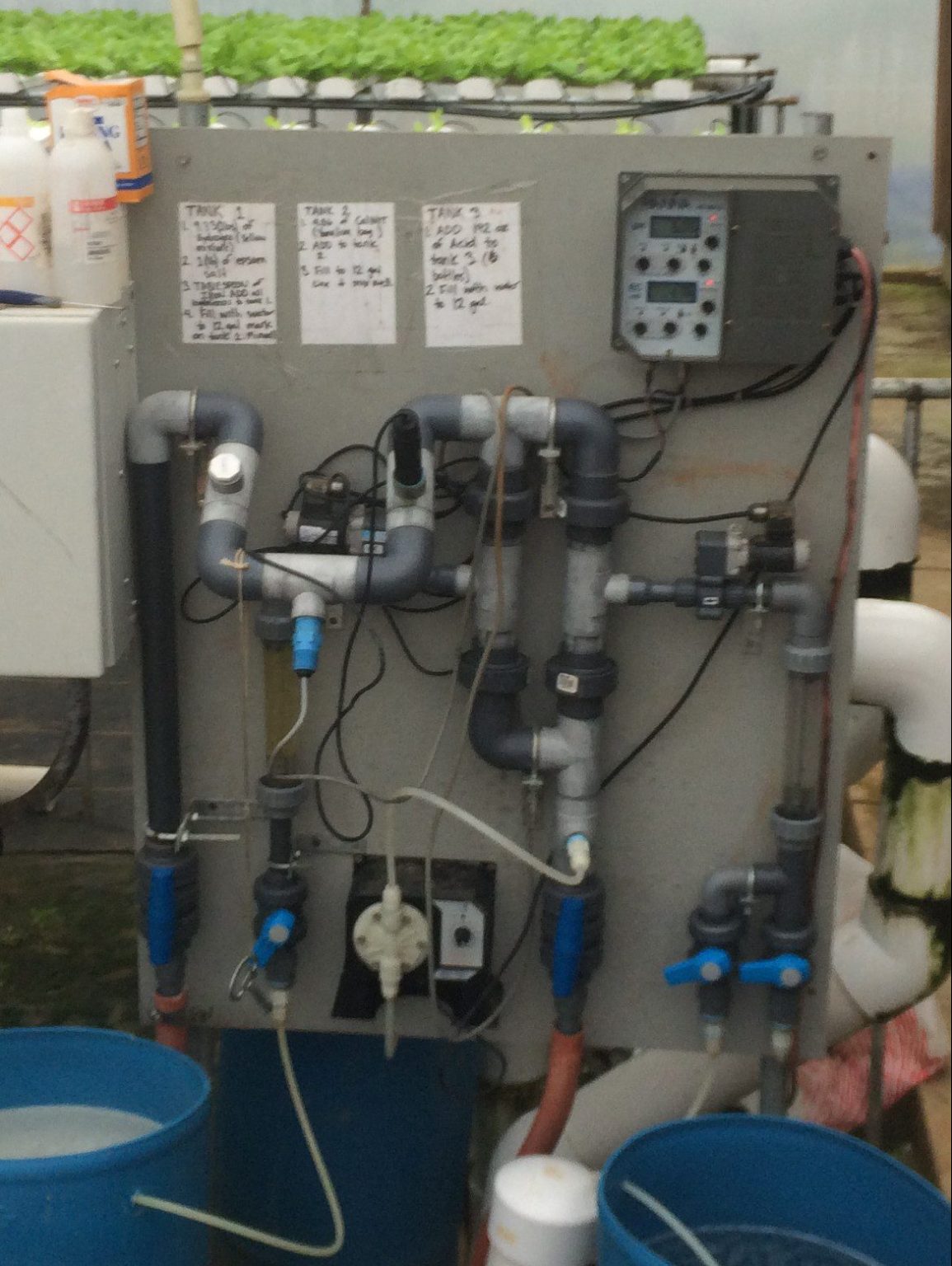 Greenhouse Lettuce Production - Alabama Cooperative Extension System